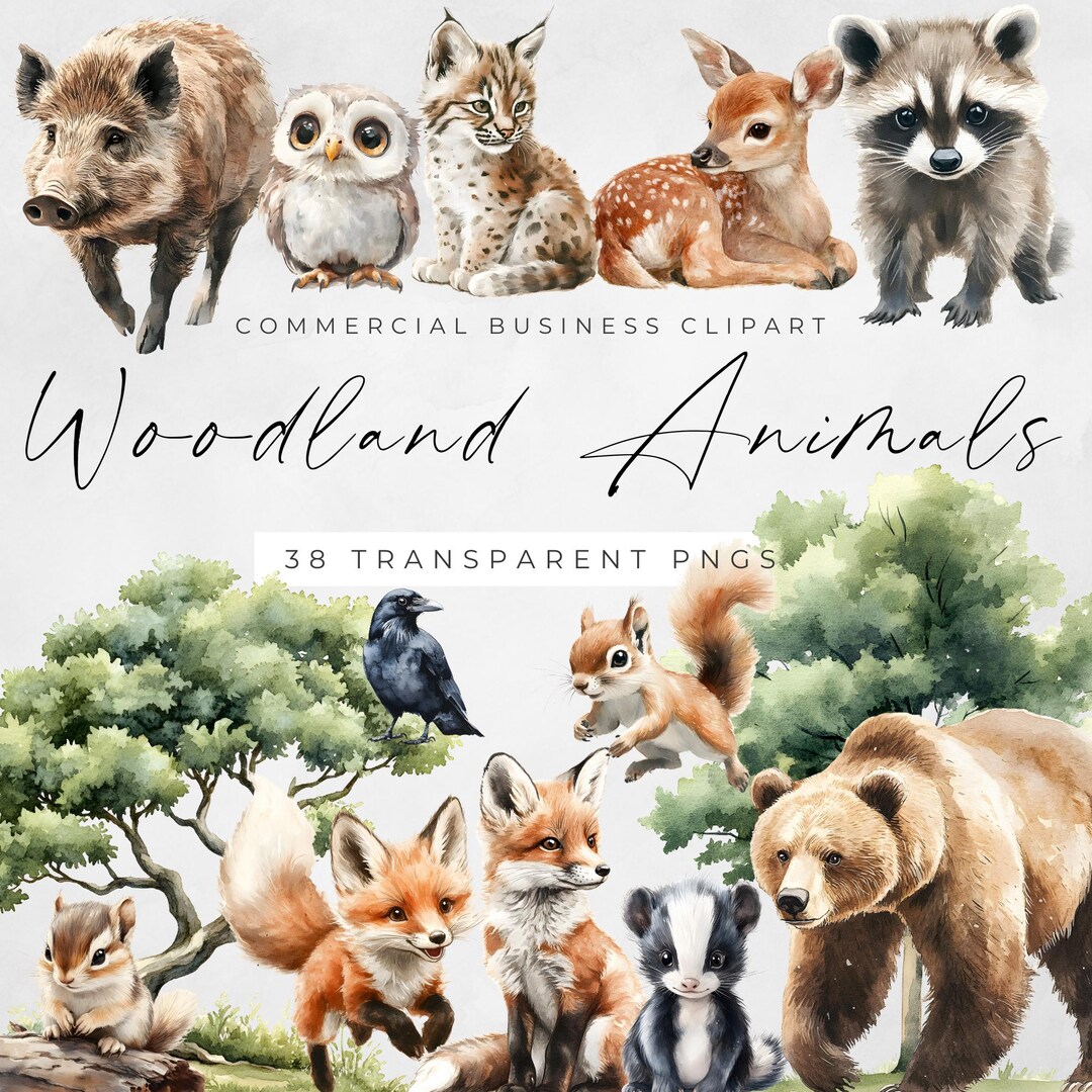 Watercolor Woodland Animals Clipart: Forest Nursery PNG (digital ...