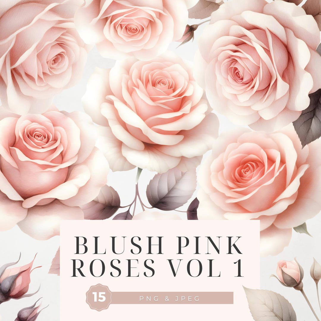 Blush Pink Roses Clipart, Pink Flowers Digital Prints, 300 DPI, Pink ...