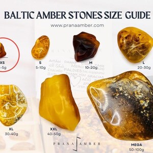 Genuine Raw Baltic Amber Rocks, Small Size Natural Baltic Sea Gemstones ...