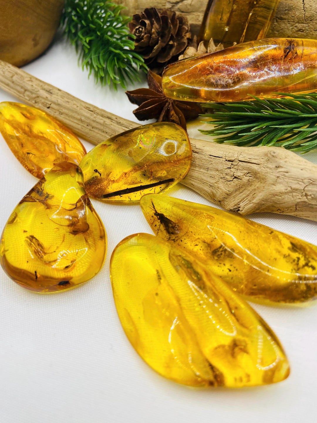 Original Amber Bug Fossils, 50 Million Year Old Inclusions, 4-7 Grams ...