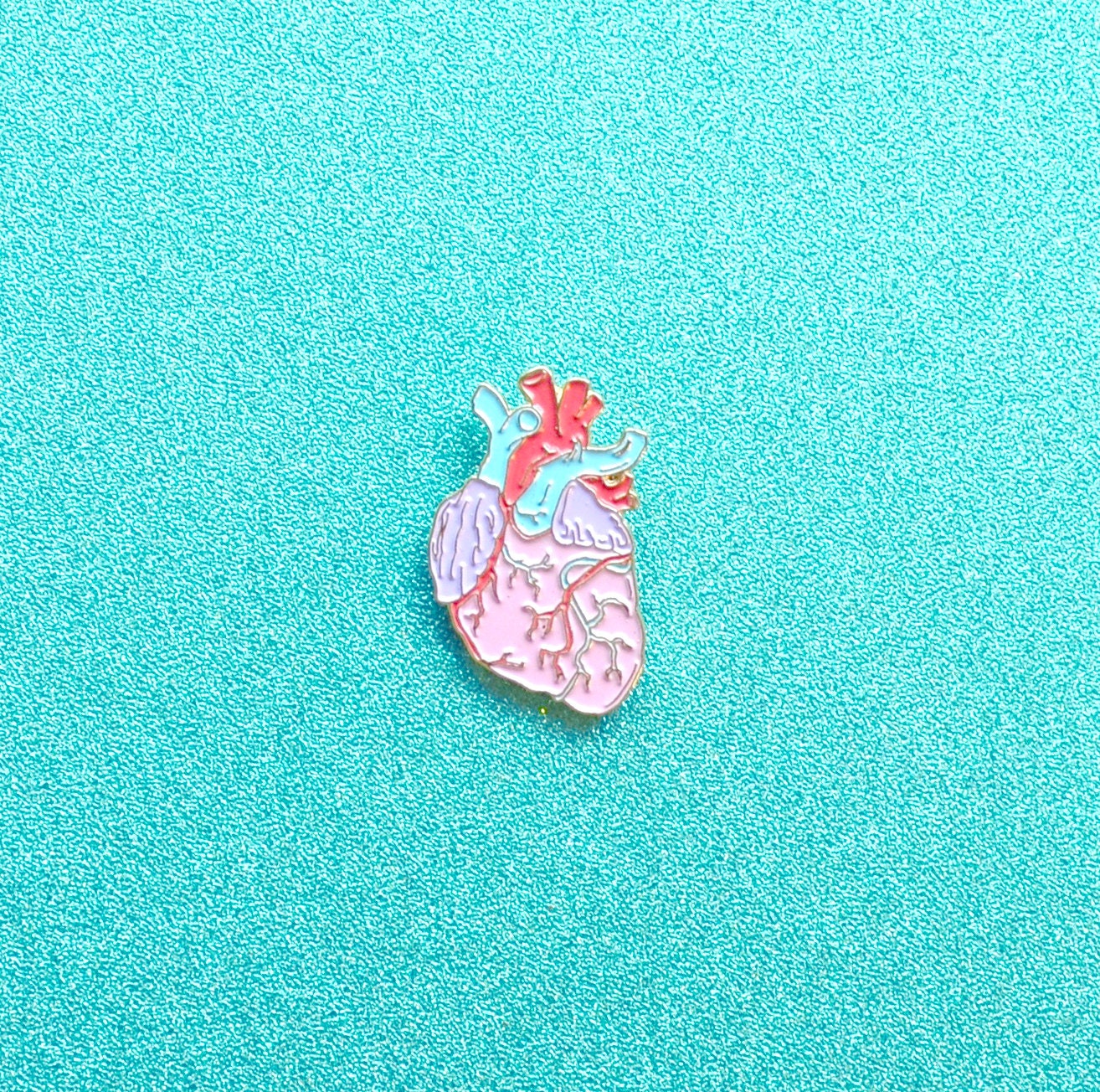Anatomical Heart Enamel Pin Anatomical Pastel Heart | Etsy