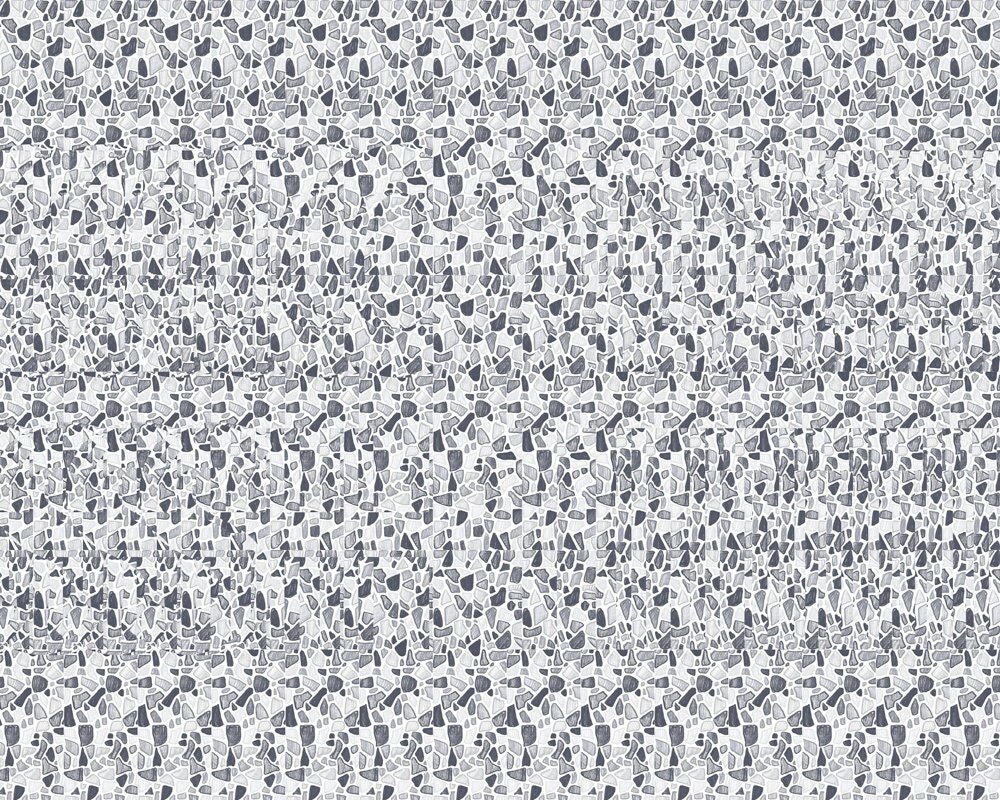 HOLY SHIT Stereogram - Hidden 3D Image Terrazzo Drawing Design 16x20 ...