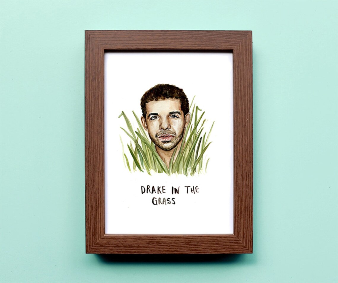 Drake in the Grass Illustration Print Drake Portrait - Etsy
