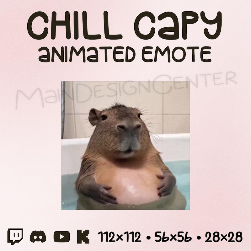 Discord Capybara Stickers - Etsy