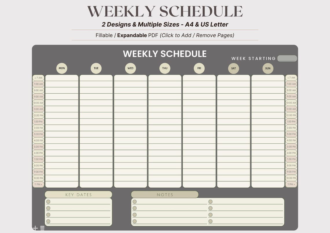 Fillable Weekly Schedule Planner – Printable A4 & US Letter (digital ...