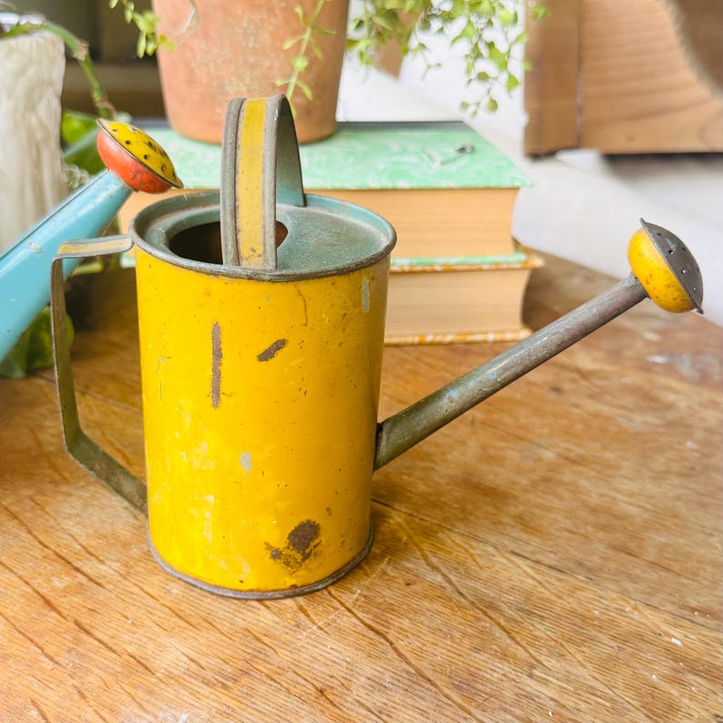 Vintage , Children’s Metal Water Cans - Etsy