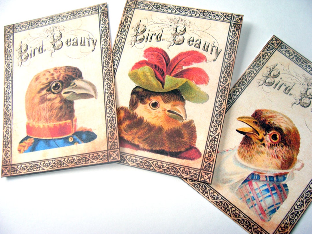 Victorian Bird Tags-9 Tags-gift Tags birds in Clothes-vintage Birds ...