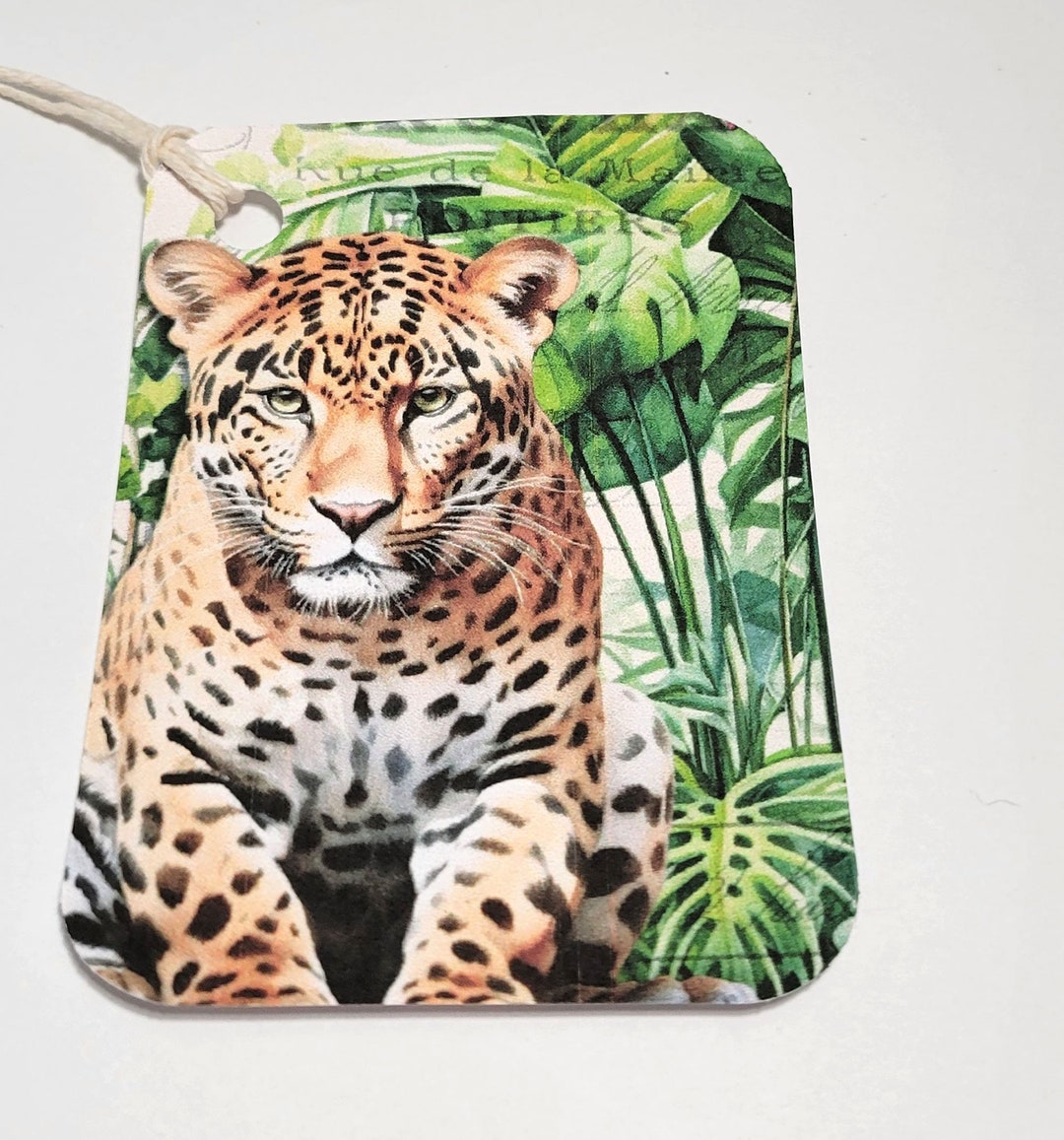 Rainforest Tags 1-setof8-animal Tags-jungle Tags Jaguar Tag-toucan Tag ...