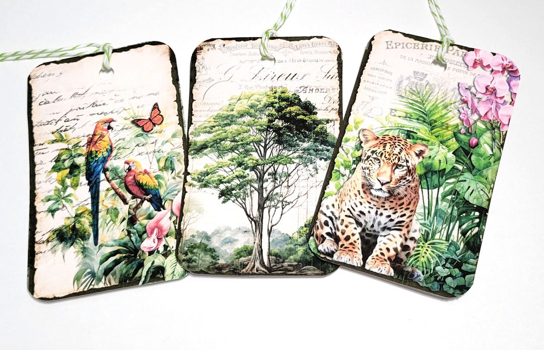 Bright Tropical Tags-set of 5-jungle Creatures-waterfalls-jaguar-sloth ...