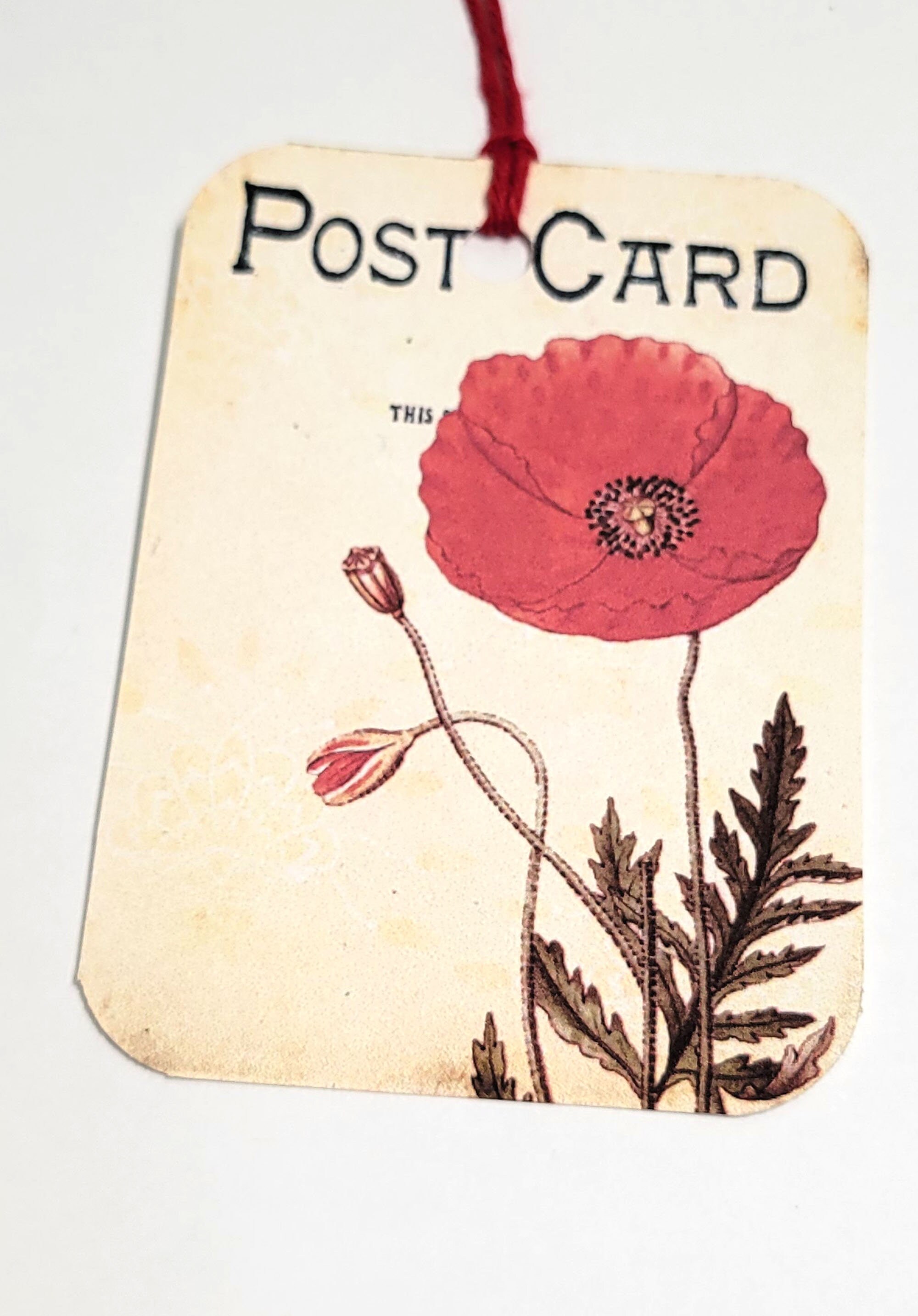 Red Poppy Tags-set of 6-red Flower Tag-postcard Poppies Garden Tagss ...