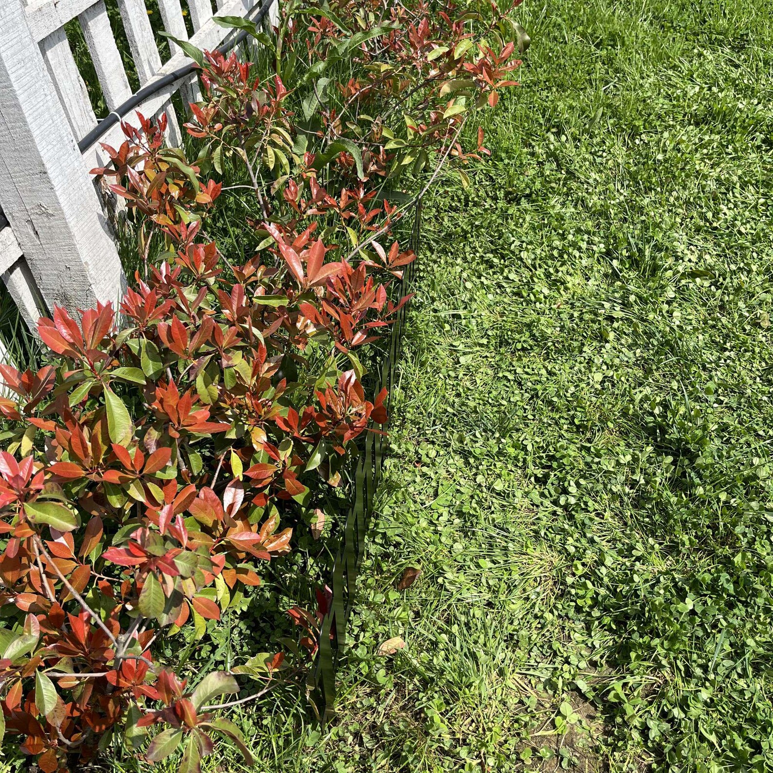 Metal Garden Fence Panels, Miniature Fence, Garden Fence Decor, Metal ...
