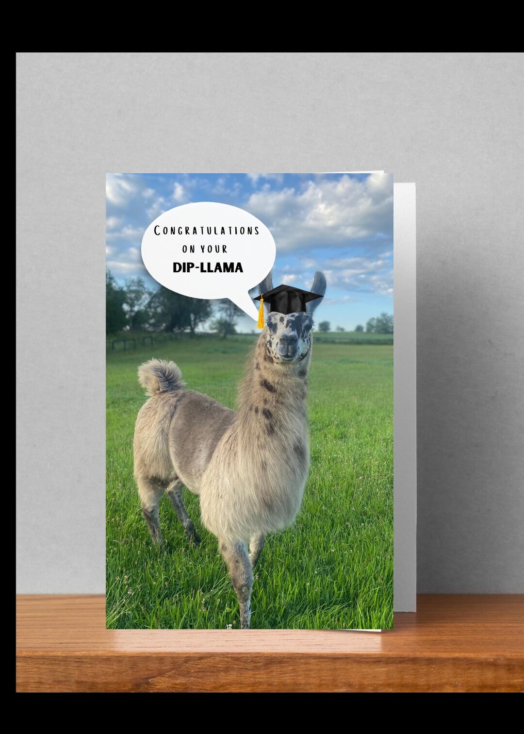 Llama Graduation Greeting Card-can Be Customized - Etsy
