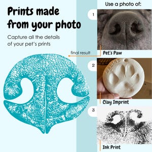 Pet Memorial Print: Custom Dog Paw & Nose Photo Keepsake (framed Option ...