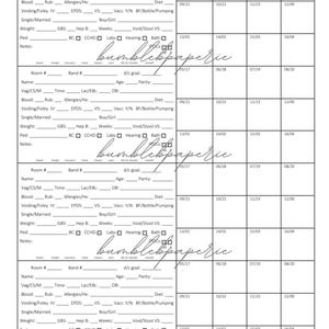 Postpartum Nurse Report Sheet - Etsy