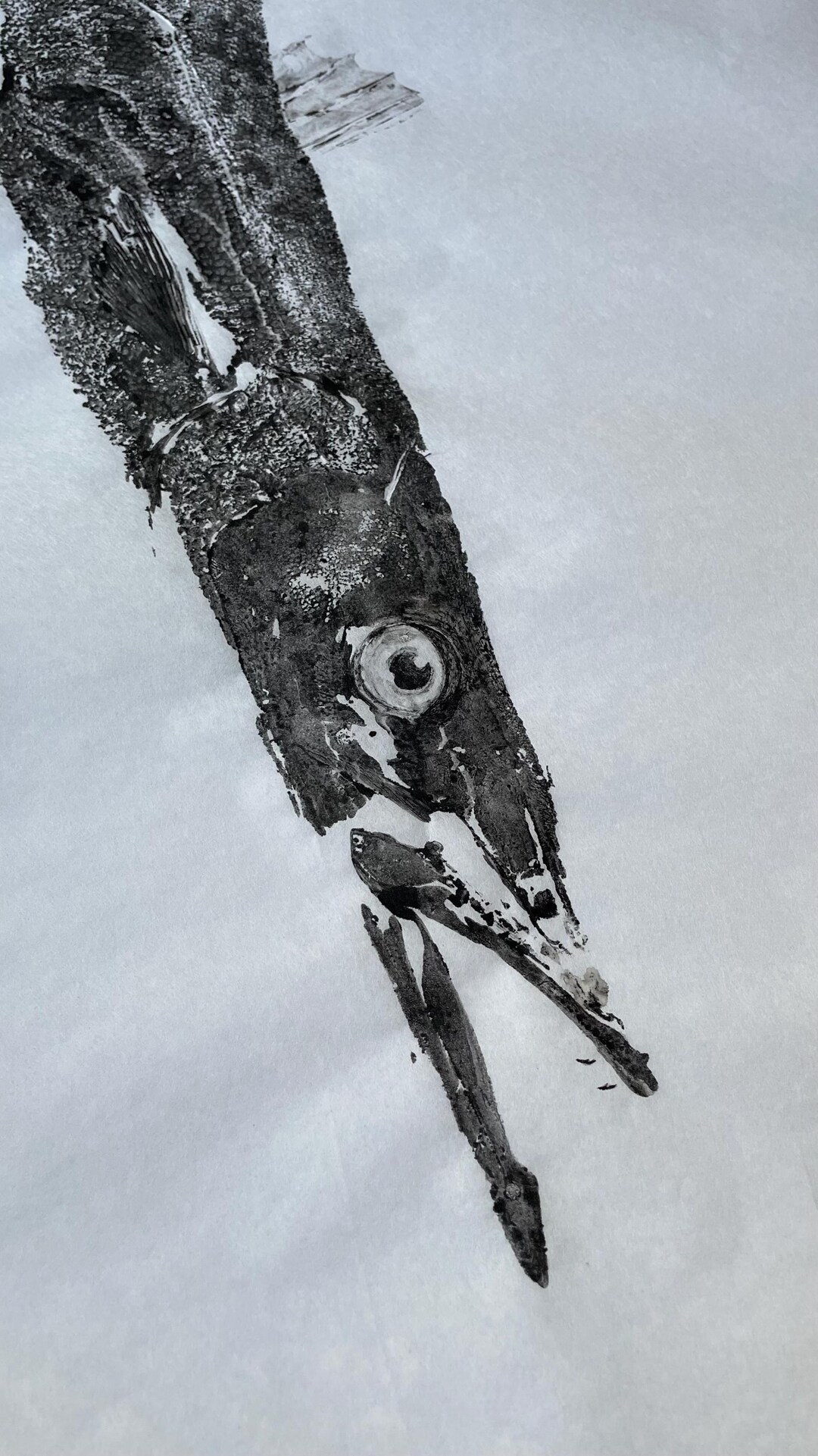 Barracuda Gyotaku on Japanese Paper - Etsy
