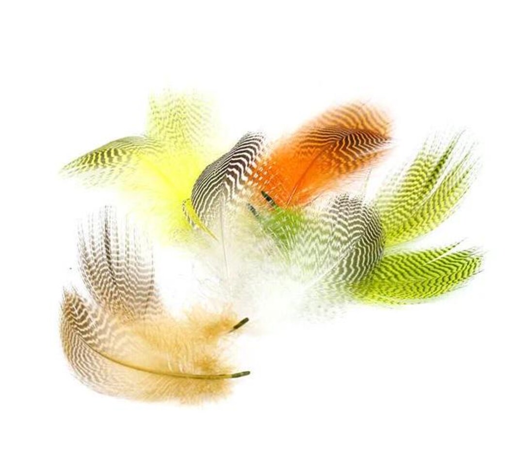 Spotted Wild Duck Flank Feathers, 20pcs/pack, Soft, Lightweight, for ...