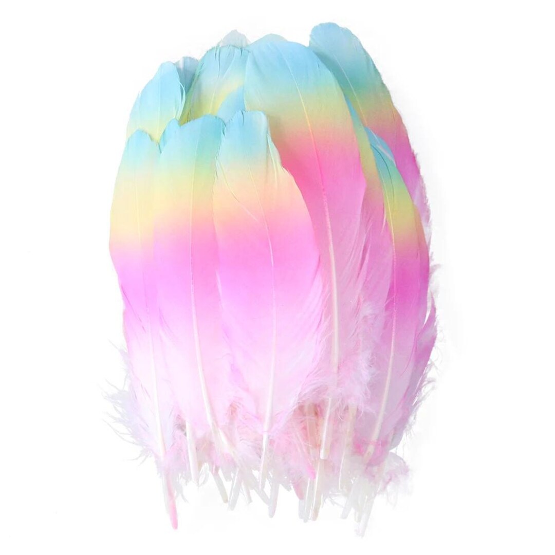 Natural Goose Feathers, Dyed Rainbow Feather Plume for DIY Crafts ...