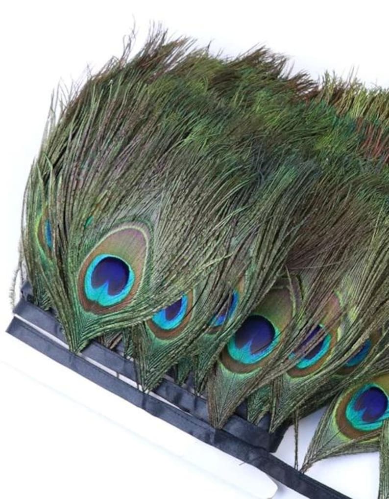 Natural Peacock Feather Ribbon Trim, Green-colored Plume Fringe for ...
