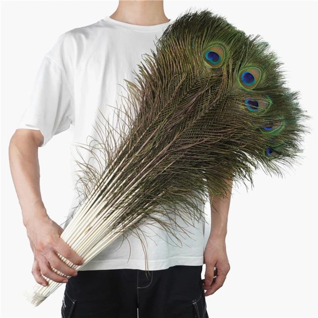 Natural Peacock Feathers, Wholesale 50/100pcs Long Large Eye Peacock ...
