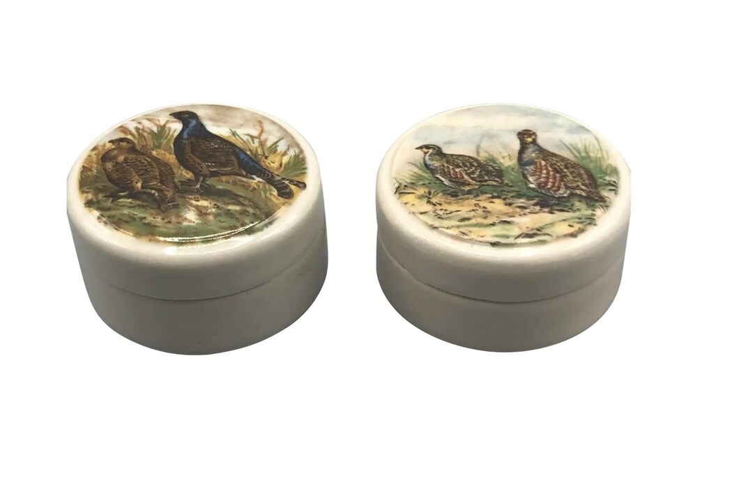 Pair of 1950s English Traditional Game Bird Boxes - Etsy