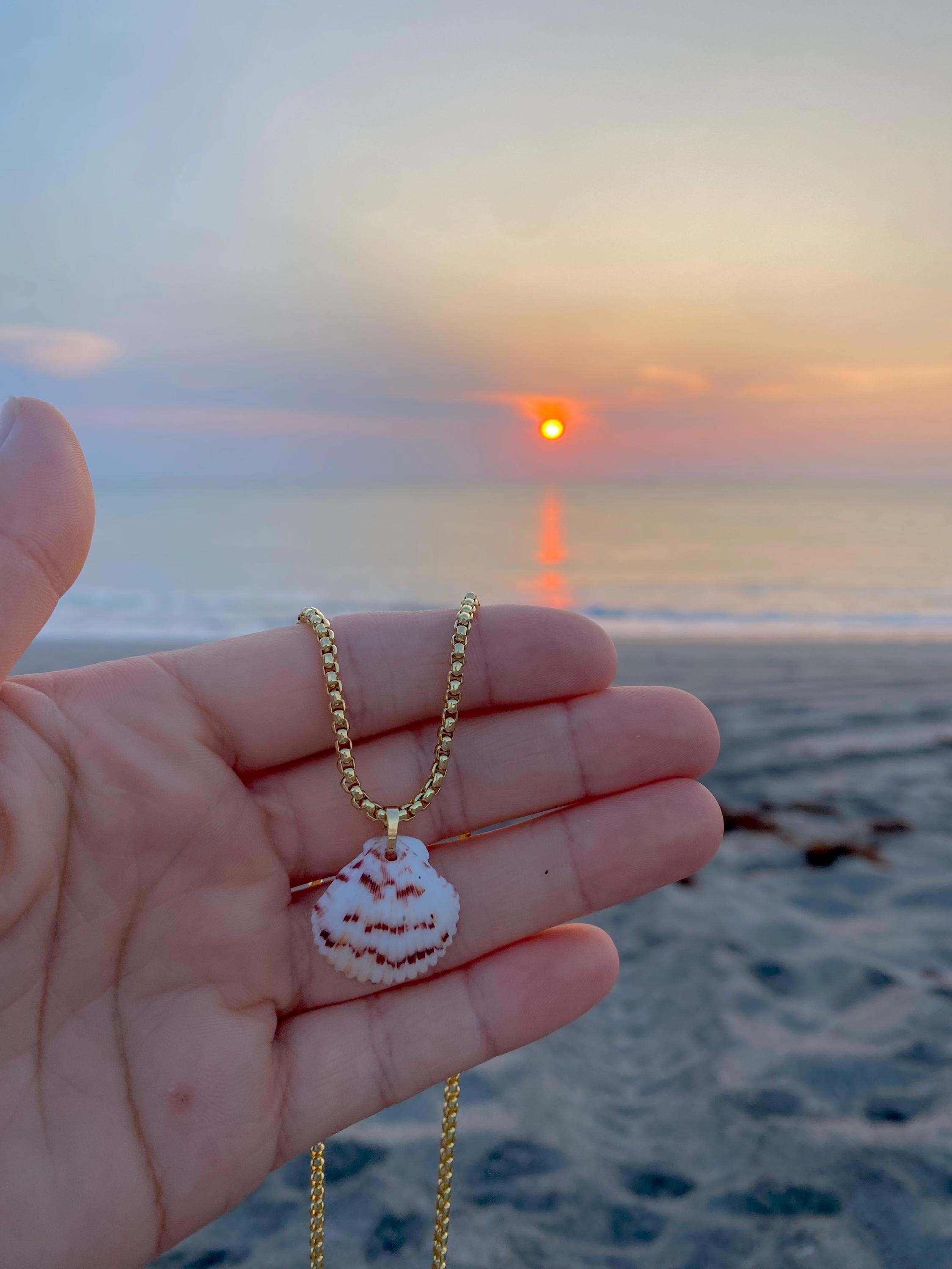 Gold Shell Necklace: Handpicked South Florida Seashell Pendant - Etsy