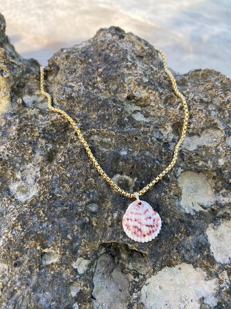 Gold Shell Necklace: Handpicked South Florida Seashell Pendant - Etsy