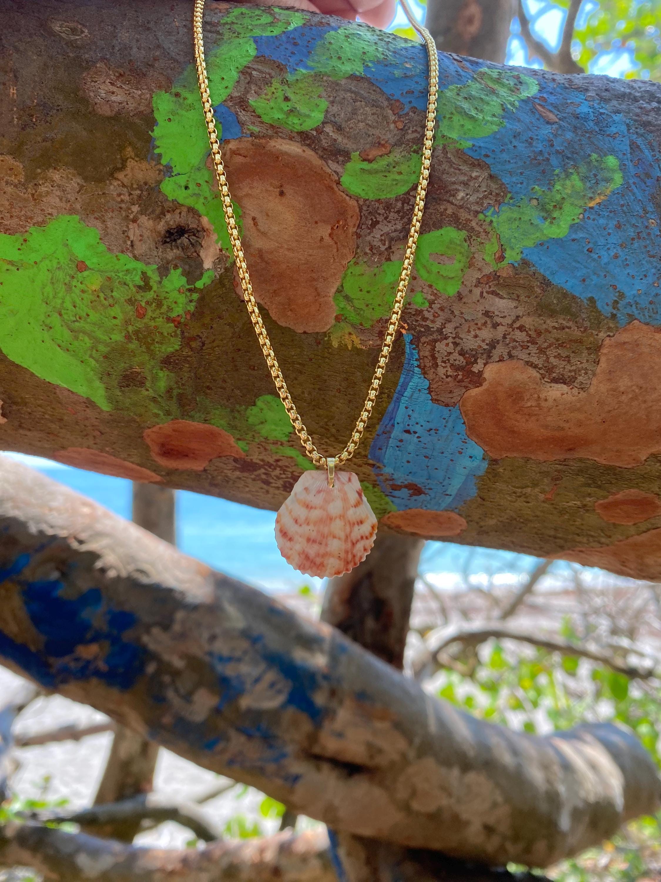 Gold Shell Necklace: Handpicked South Florida Seashell Pendant - Etsy