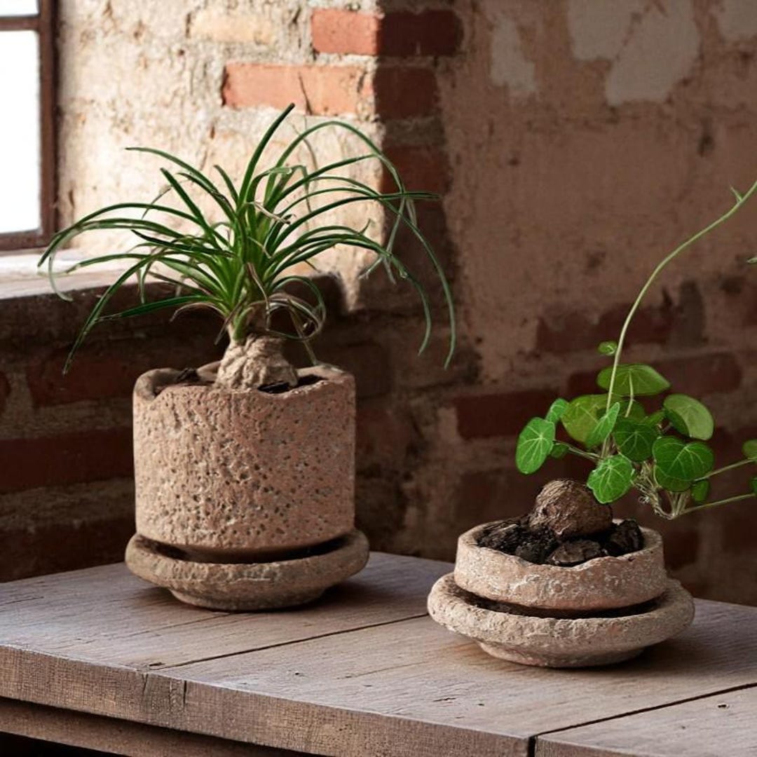 Rustic Handmade | Ceramic Flower Pot | Rustic Vases - Etsy