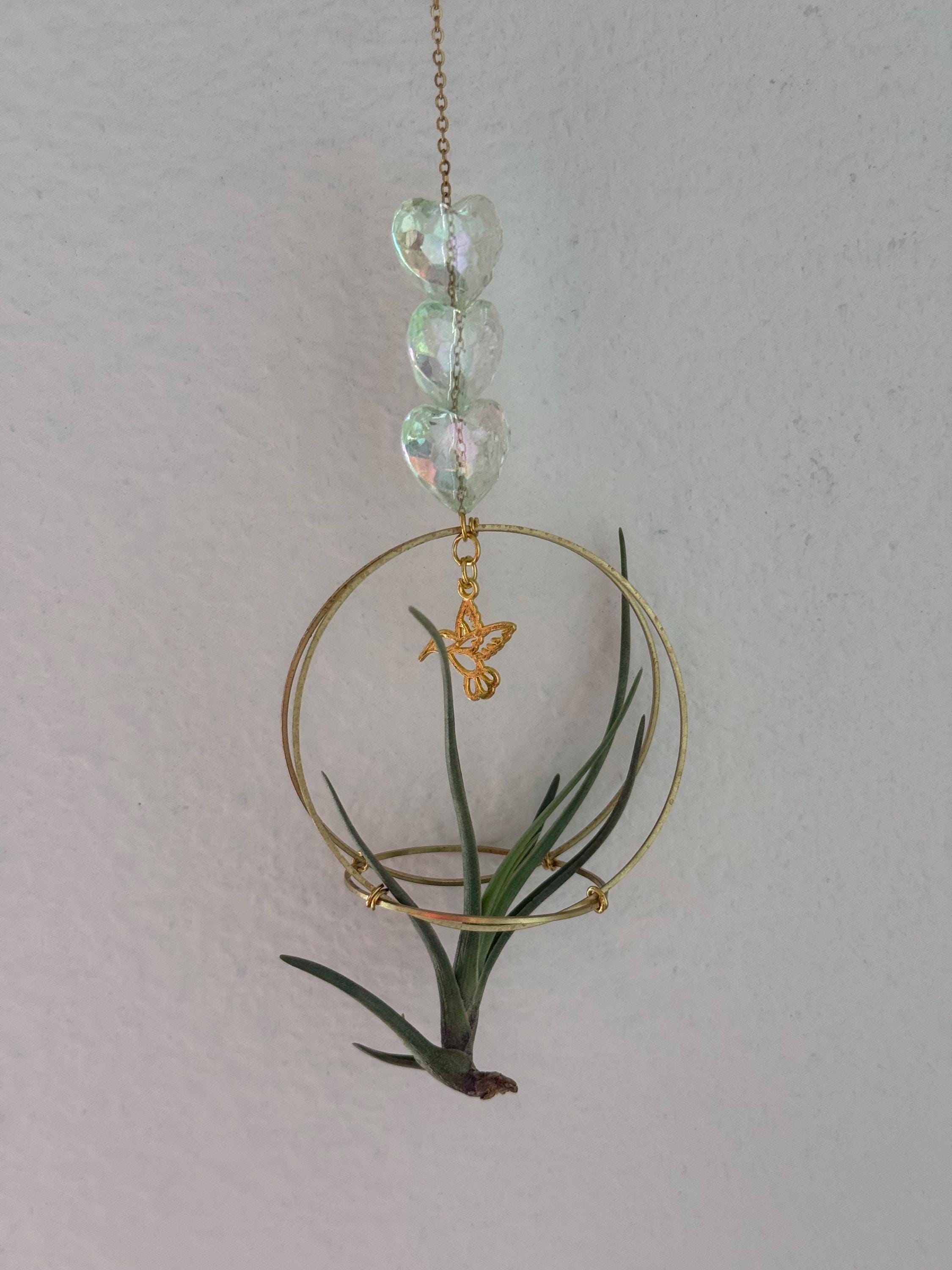 Single Strand Air Plant Hanger - Etsy