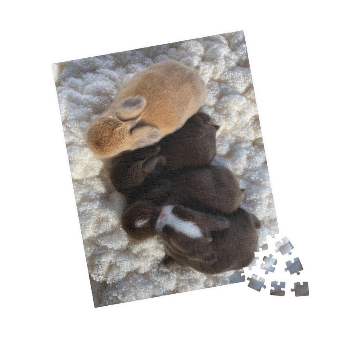 Peaceful Baby Holland Lop Bunnies Puzzle, 3 Sizes, Fun for Family Game ...