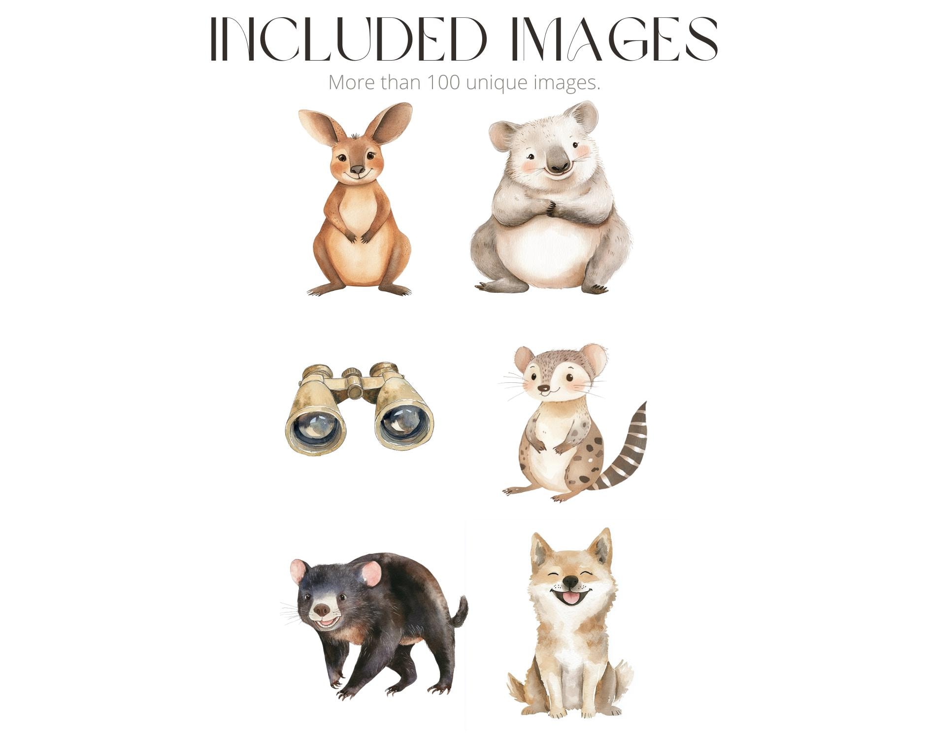 Watercolor Australian Animals Clipart | Kangaroo, Koala & Quokka PNG ...