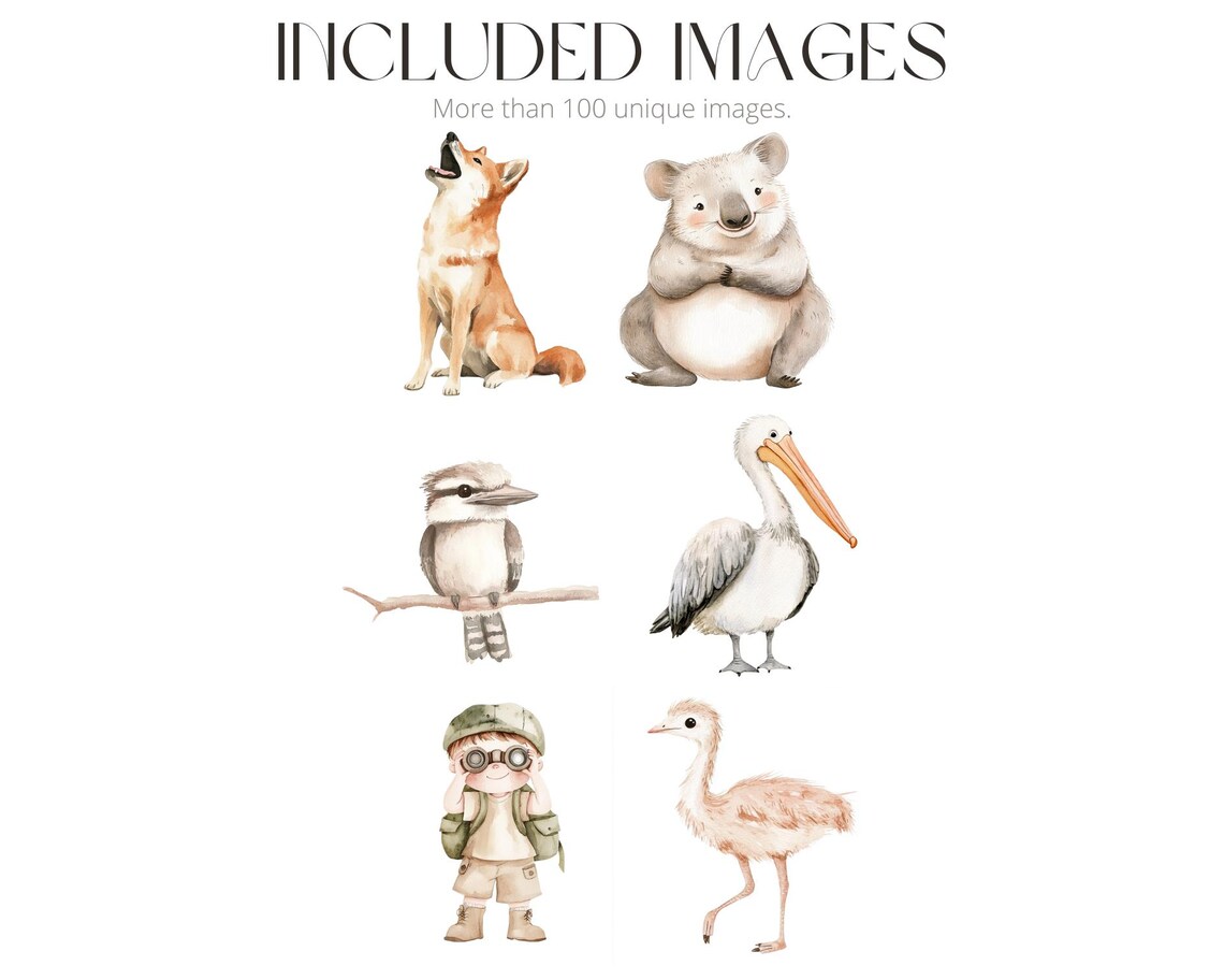 Watercolor Australian Animals Clipart | Kangaroo, Koala & Quokka PNG ...