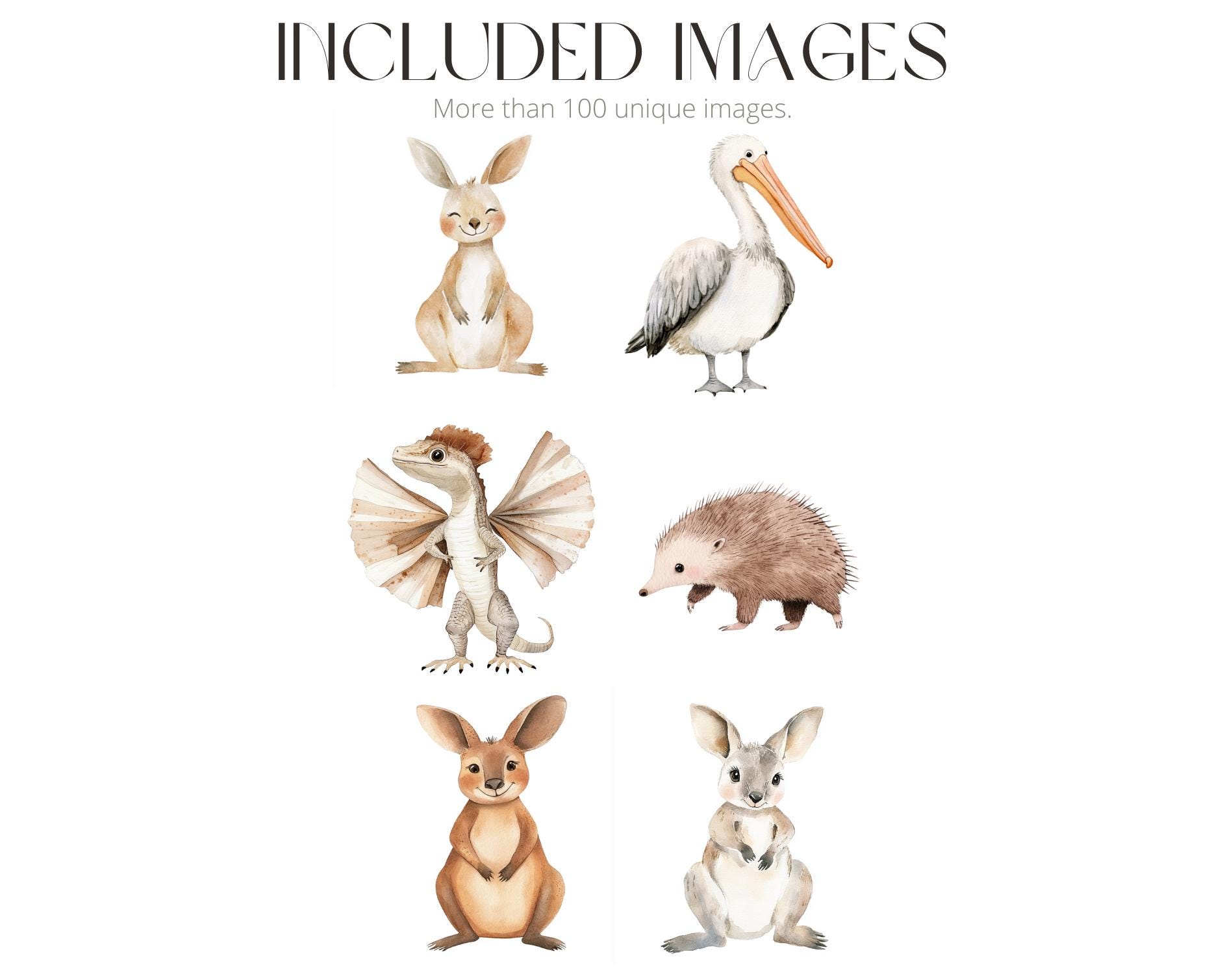 Watercolor Australian Animals Clipart | Kangaroo, Koala & Quokka PNG ...