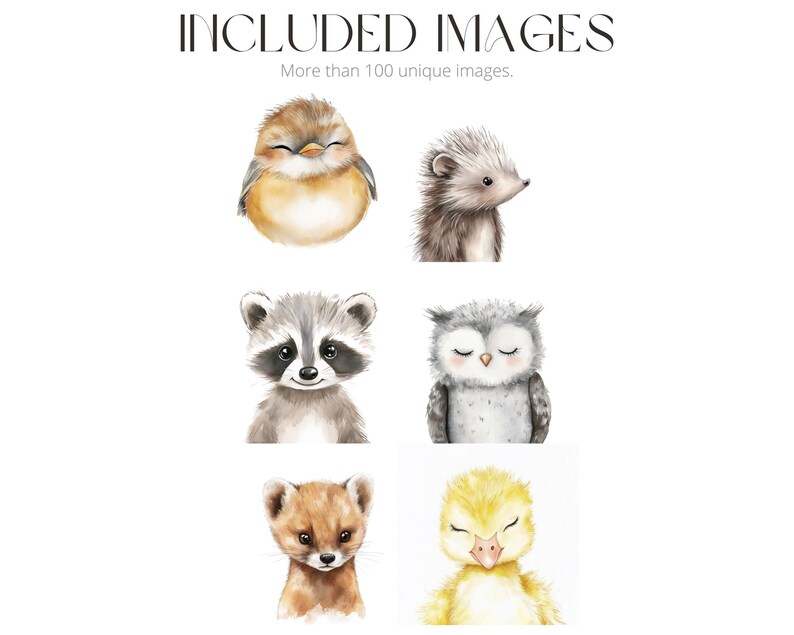 Adorable Woodland Animal Clipart Set - Watercolor Baby Animal Portraits ...