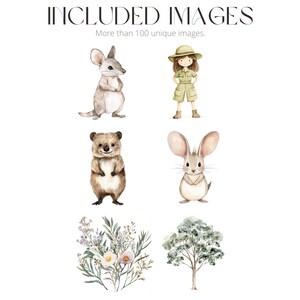 Watercolor Australian Animals Clipart | Kangaroo, Koala & Quokka PNG ...