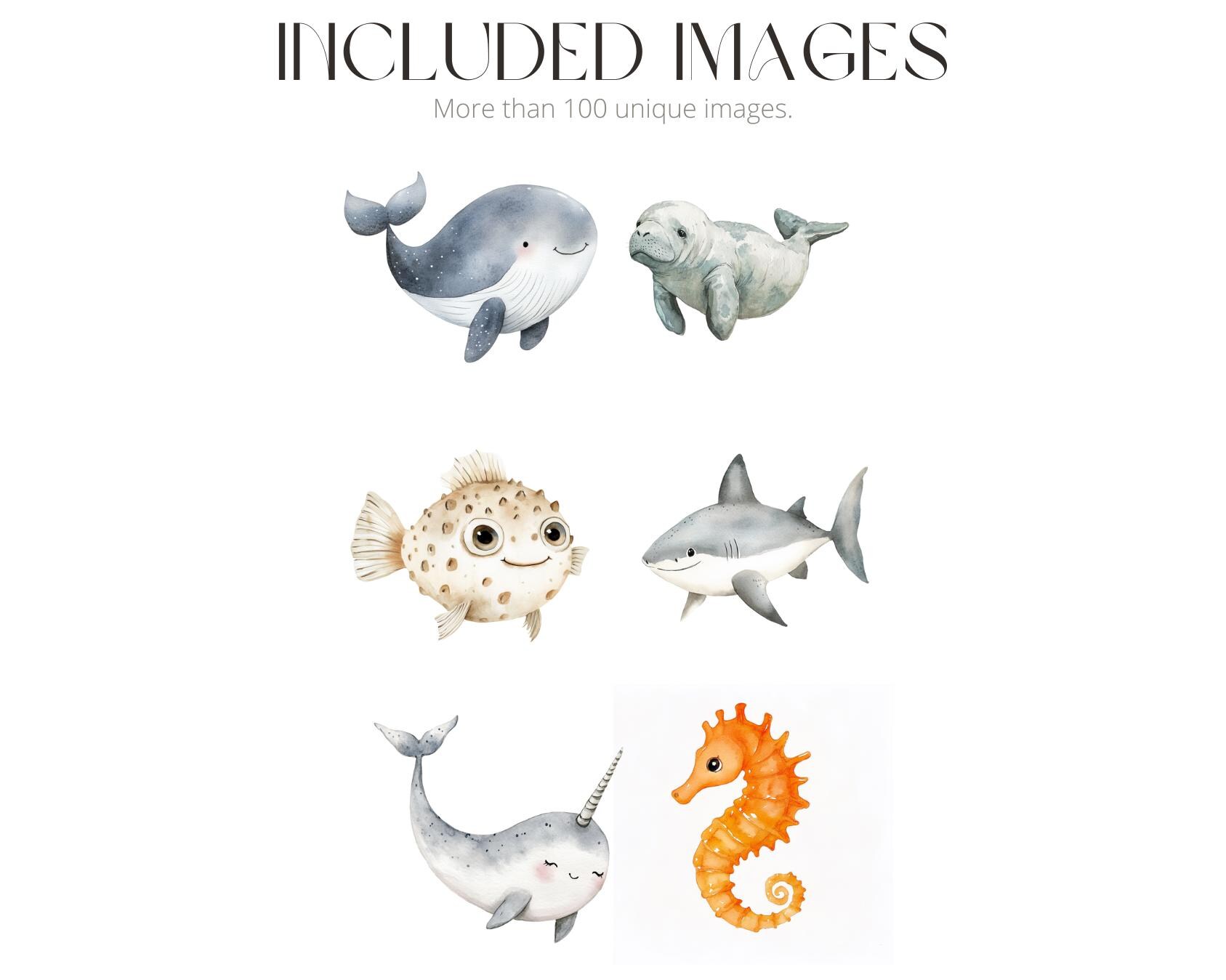 Watercolor Sea Friends Clipart | Cute Ocean Animals PNG | Shark ...