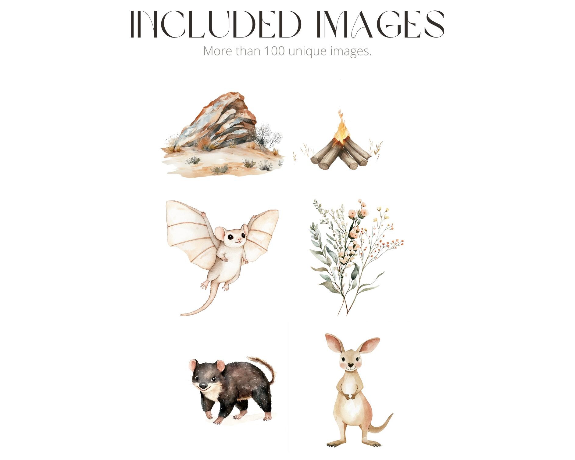 Watercolor Australian Animals Clipart | Kangaroo, Koala & Quokka PNG ...