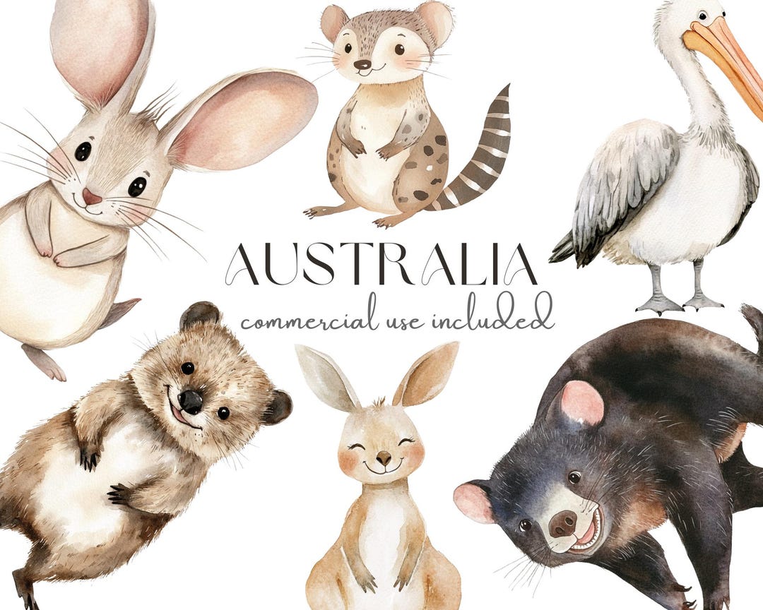 Watercolor Australian Animals Clipart | Kangaroo, Koala & Quokka PNG ...