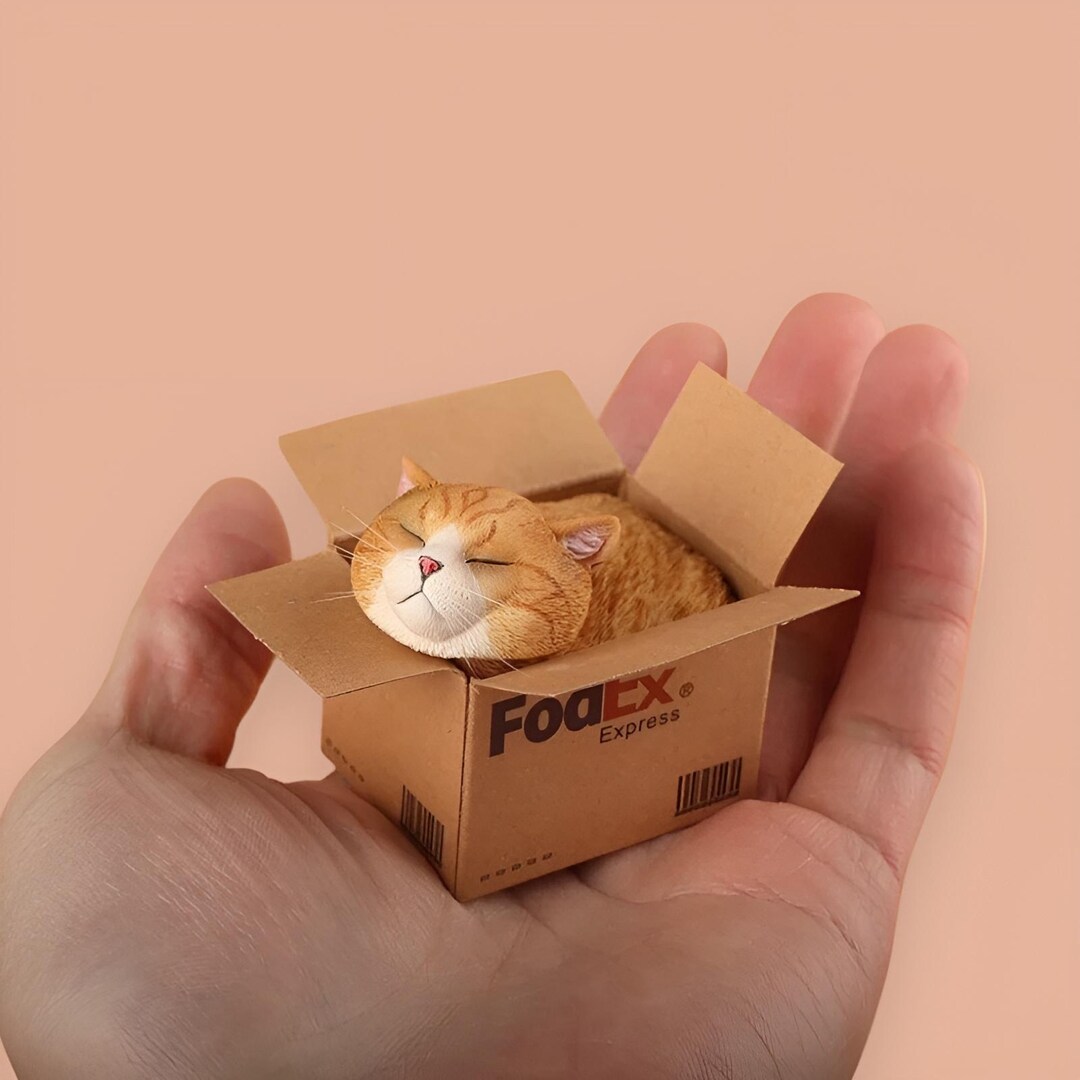 Handcrafted Miniature Cat in Box: Realistic Faux Fur Resin Figurine - Etsy