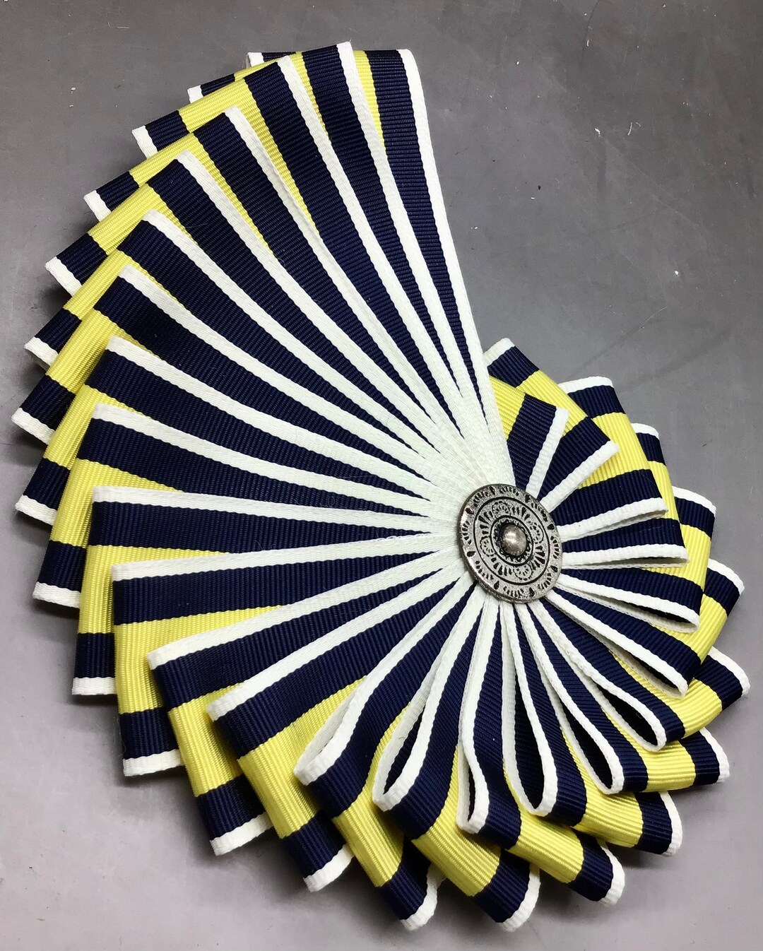 Yellow, Blue and White Striped Chambered Nautilus Cocarde Cockade ...