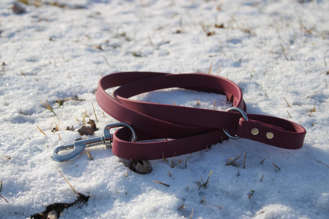 Biothane Dog No Collar Leash - Waterproof, Easy to Clean - Slip on and ...