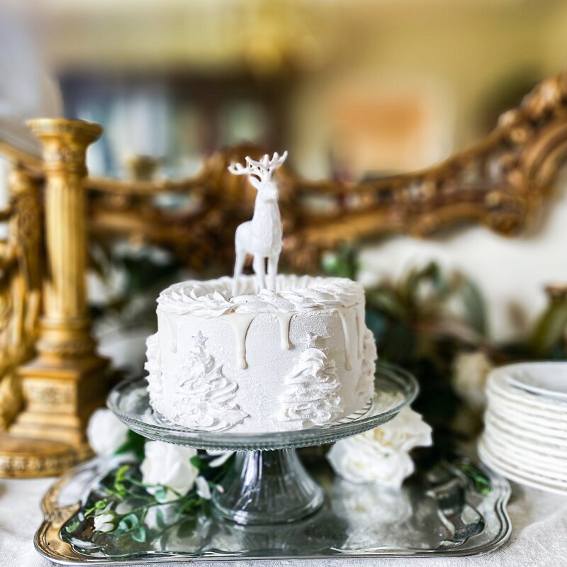 Fake Christmas Cake - Etsy