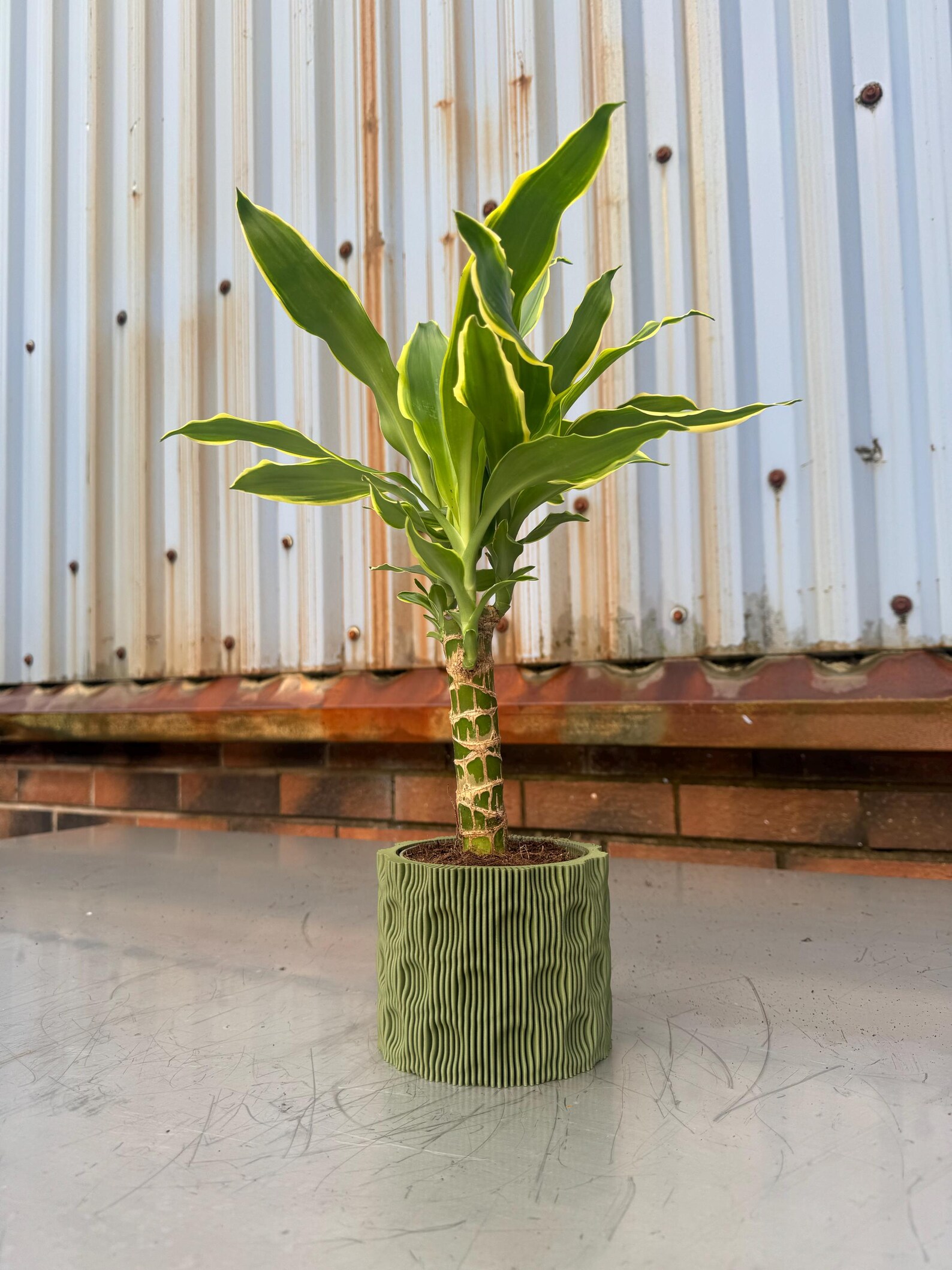 Donut Straight Plant Vase | 3d-printed Plant Pot | Aesthetic Eco ...