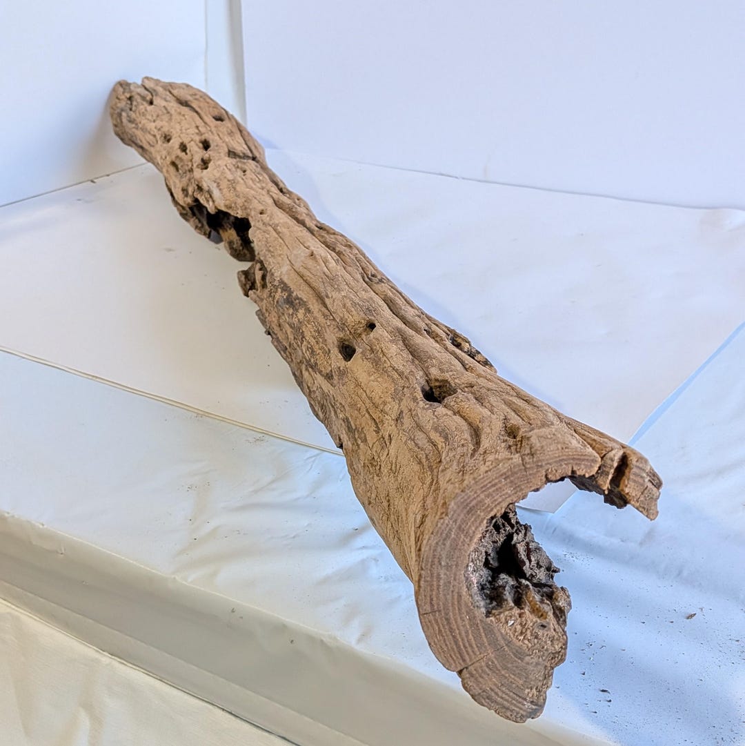 Extra Large Hollow Log 45" for Art | Aquarium |terrarium |home Decor ...