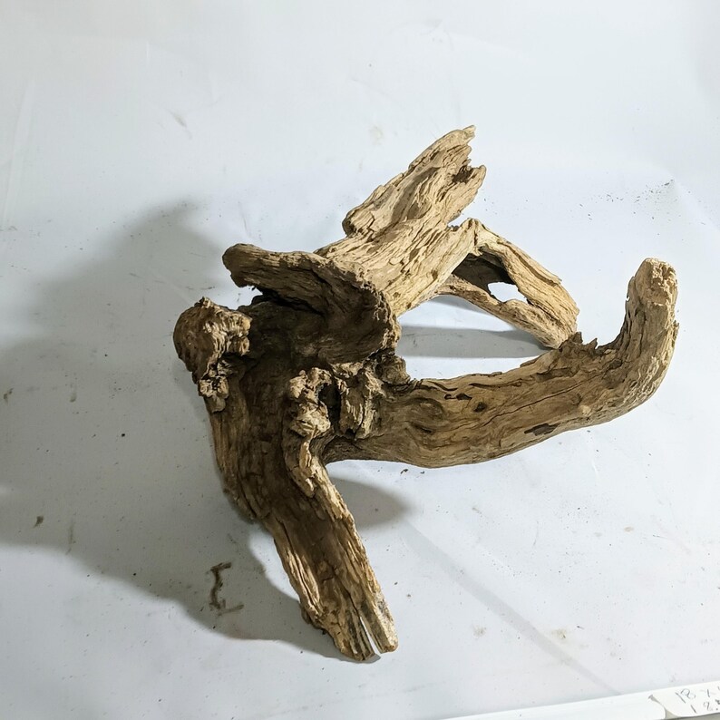 Large Driftwood for Art, Aquarium, Atrium, Centerpiece, Sculpture ...