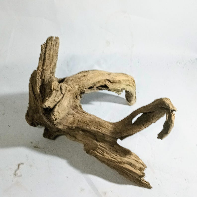 Large Driftwood for Art, Aquarium, Atrium, Centerpiece, Sculpture ...