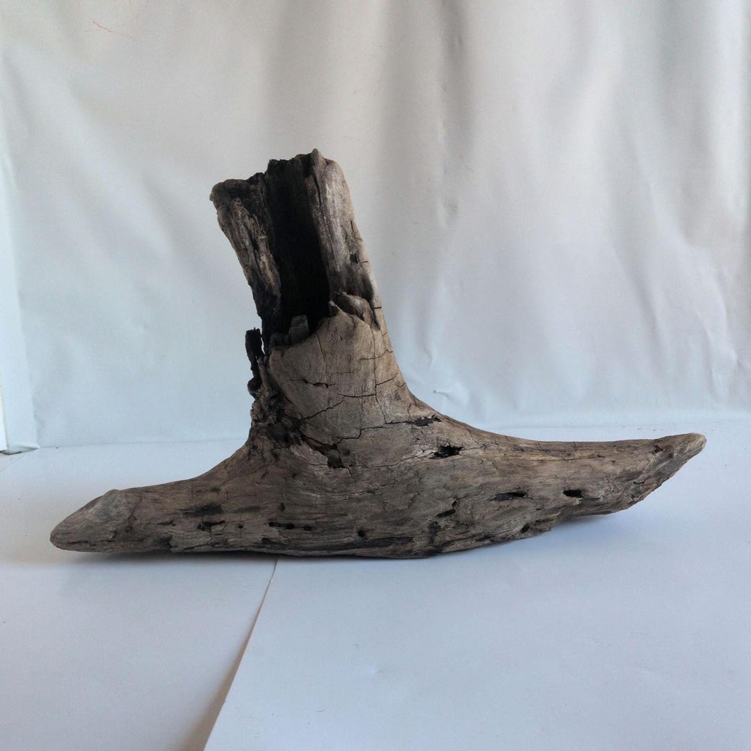 22x14x7" Large Driftwood Knot Hole for Art, Sculpture, Home Decor ...