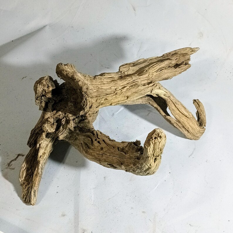 Large Driftwood for Art, Aquarium, Atrium, Centerpiece, Sculpture ...