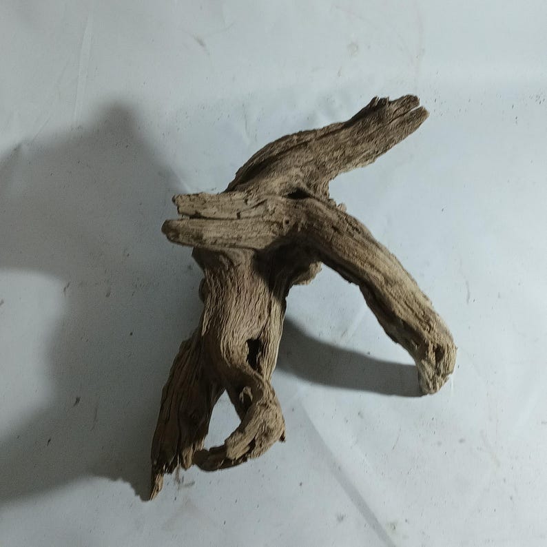Large Driftwood for Art, Aquarium, Atrium, Centerpiece, Sculpture ...