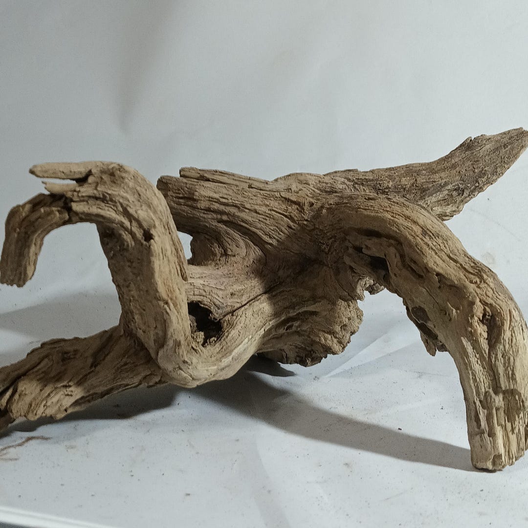 Large Driftwood for Art, Aquarium, Atrium, Centerpiece, Sculpture ...